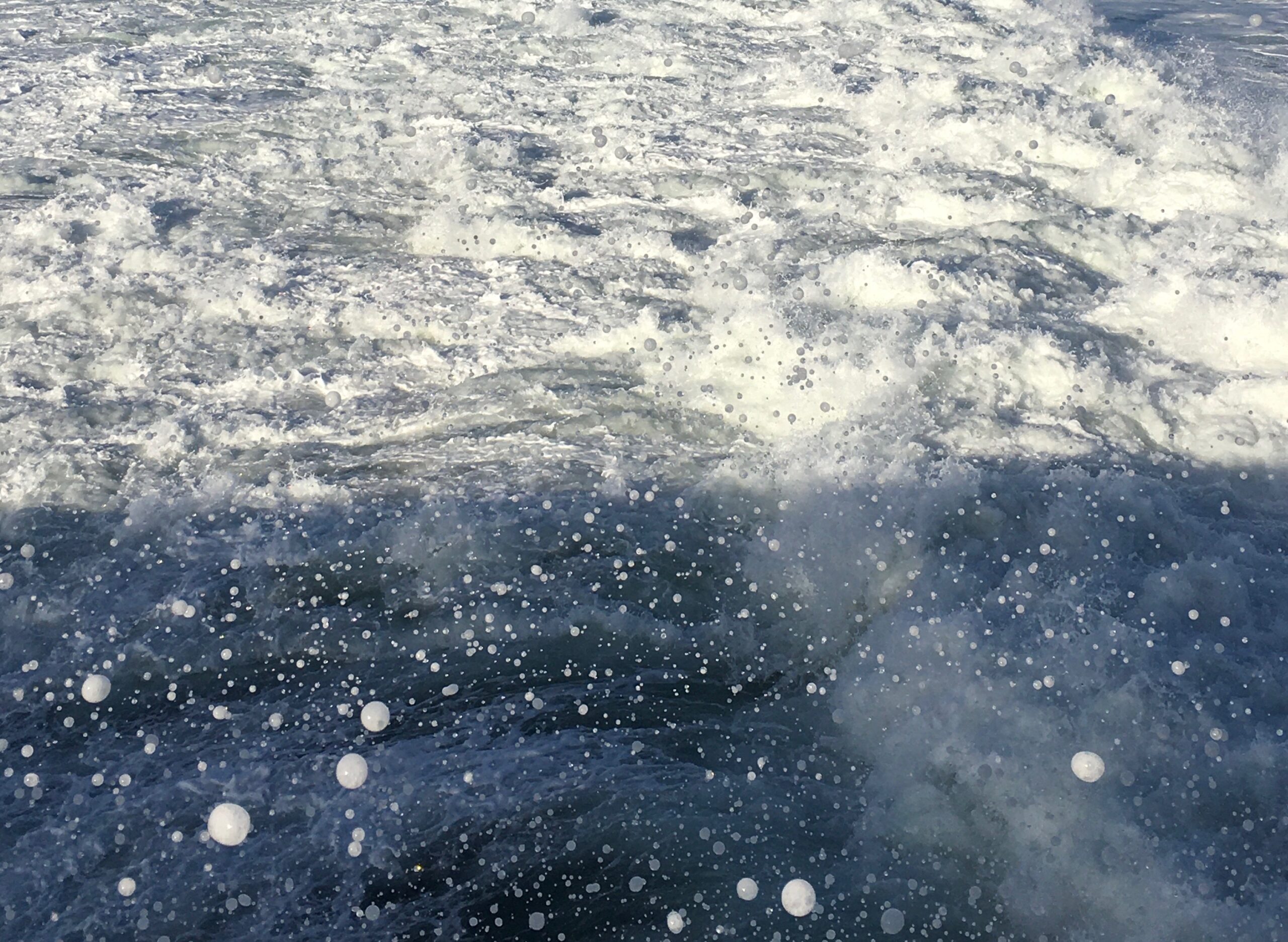 About - Blue Moon Perfume